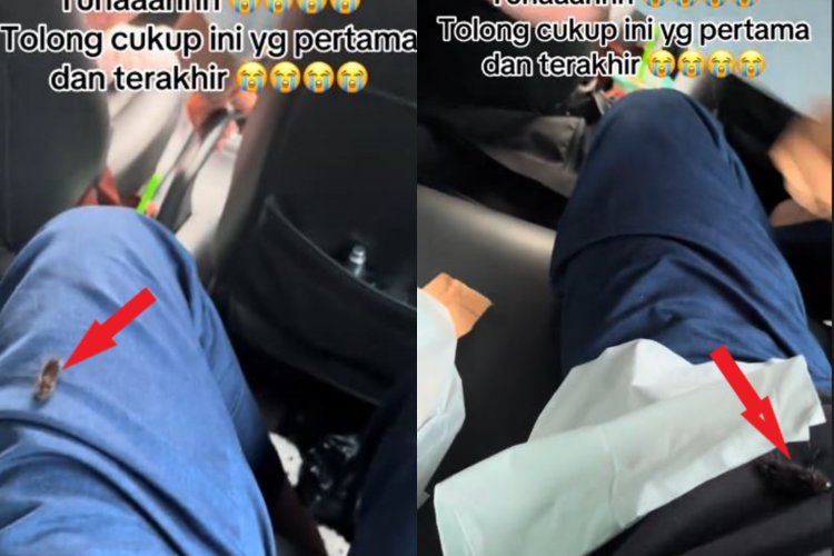 Viral! Wanita Histeris Saat Ulat Bulu Merayap di Kakinya di Dalam Mobil ...