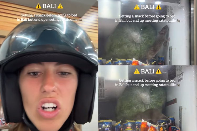Viral! Bule di Bali Syok Temui Tikus Ratatouille dalam Showcase Cemilan ...